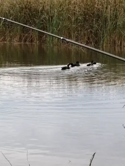 Бургаското езеро | Актуална информация, работно време и контакти