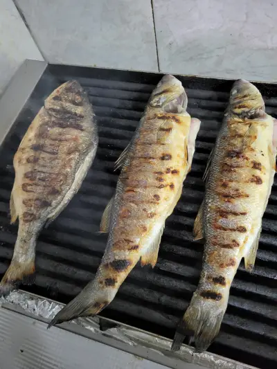 Dany Fish / Дани Фиш Риба Обзор | Меню, снимки, мнения и телефон за ...