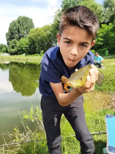 Арена Митерсон Долна Гращица Актуална информация работно време и контакти