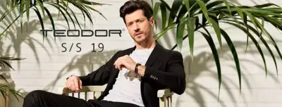 TEODOR - ул. Търговска, гр.Видин | Актуална информация, работно време и контакти