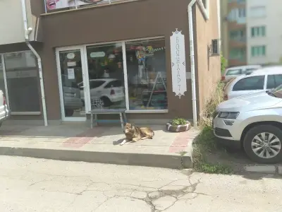 06 РУ СДВР - София | Актуална информация, работно време и контакти