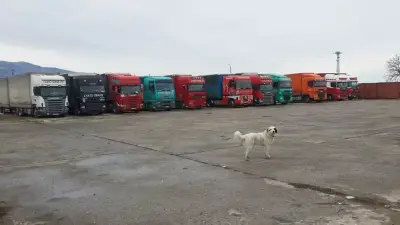 Lyato Trans EOOD - Боянци | Актуална информация, работно време и контакти