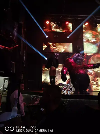 Bushido club - Пловдив | Меню, снимки, мнения и телефон за резервации