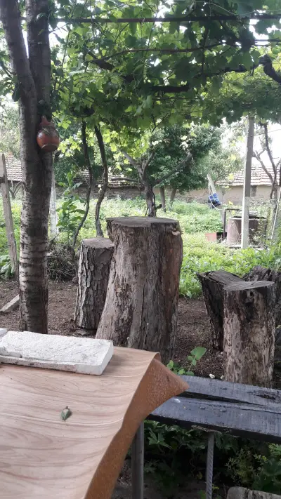 Дом за деца лишени от родителски грижи Мария Роза Асеновец