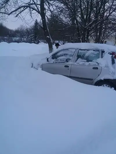 Дунарит АД - Николово | Актуална информация, работно време и контакти