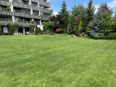 Mr. Donchev - София | Актуална информация, работно време и контакти