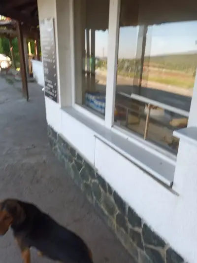 При Петя Долна Диканя Актуална информация работно време и контакти